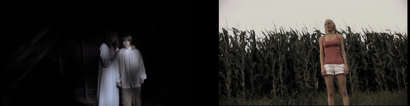 Fields of the Dead (2014) - DVD review at Mondo Esoterica