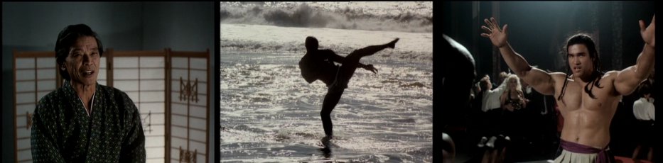 Hidden Tiger (1996) - DVD review at Mondo Esoterica